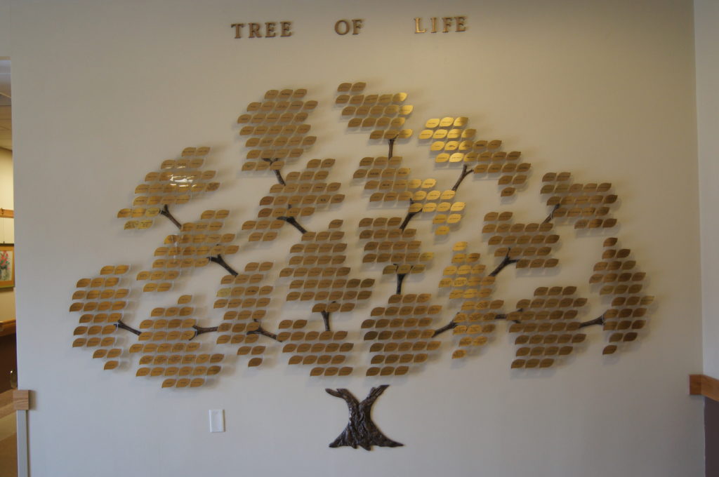 Tree of Life Giving Program – St. Elizabeth Mission Society